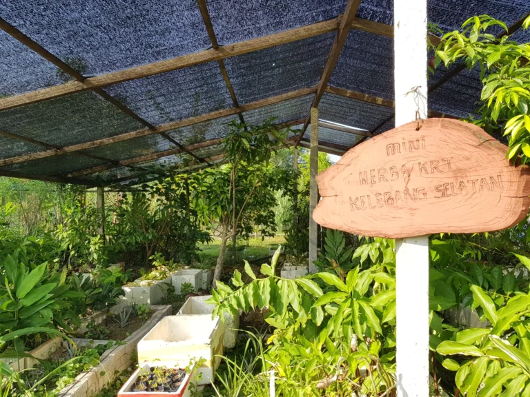 Empowering Community livelihood in Upper Kinta Basin as part of post ...